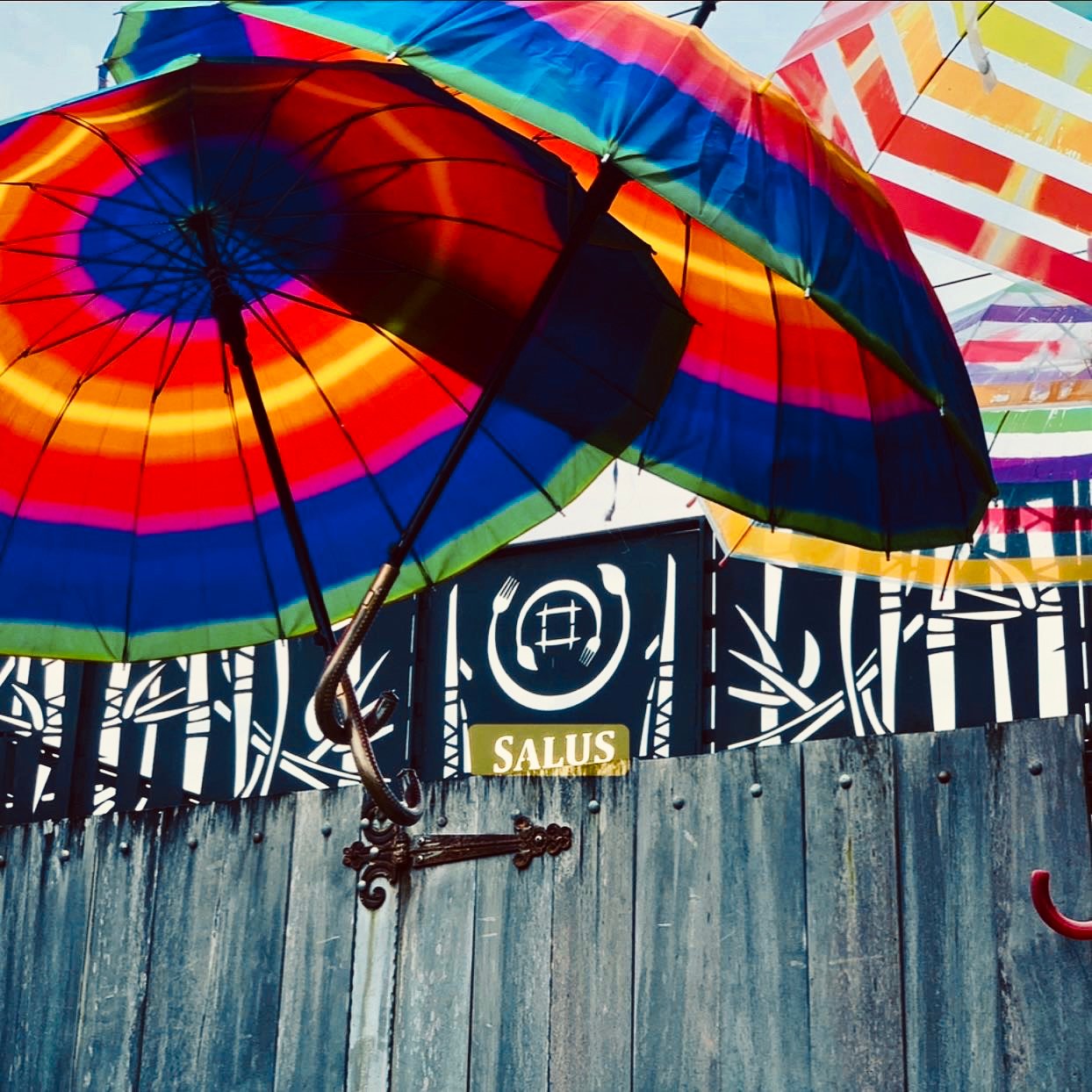 Welcome to Salus Lifestyle